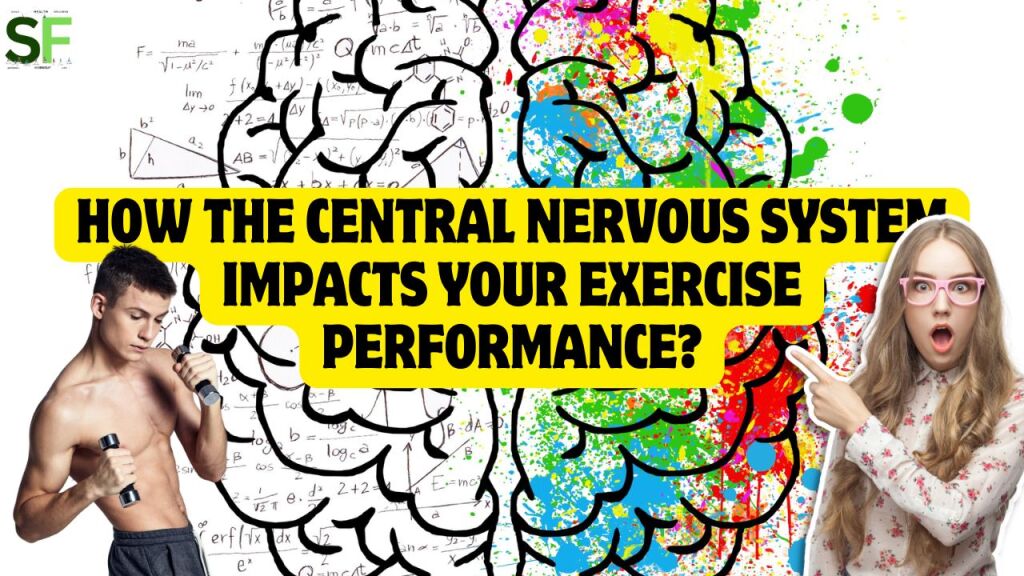 How the Central Nervous System Impacts Your Exercise Performance ...